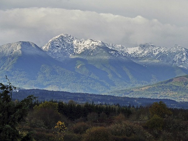 Community news in brief - Nov. 4, 2015 | Sequim Gazette