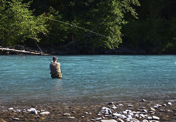Park closes Hoh River watershed to recreational fishing | Sequim Gazette