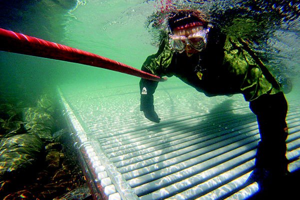 Rise of the river, fall of the dams | Sequim Gazette