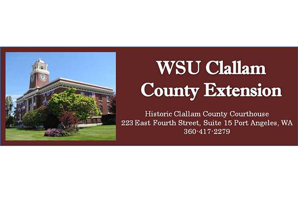 WSU extension seeks seeks intern | Sequim Gazette