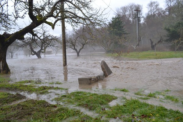 Dungeness River floods nearby residents | Sequim Gazette