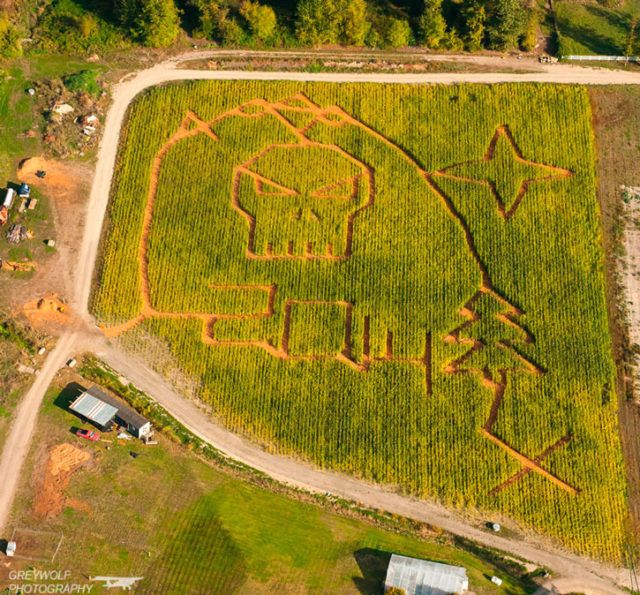 Follow the Pumpkin Path | Sequim Gazette