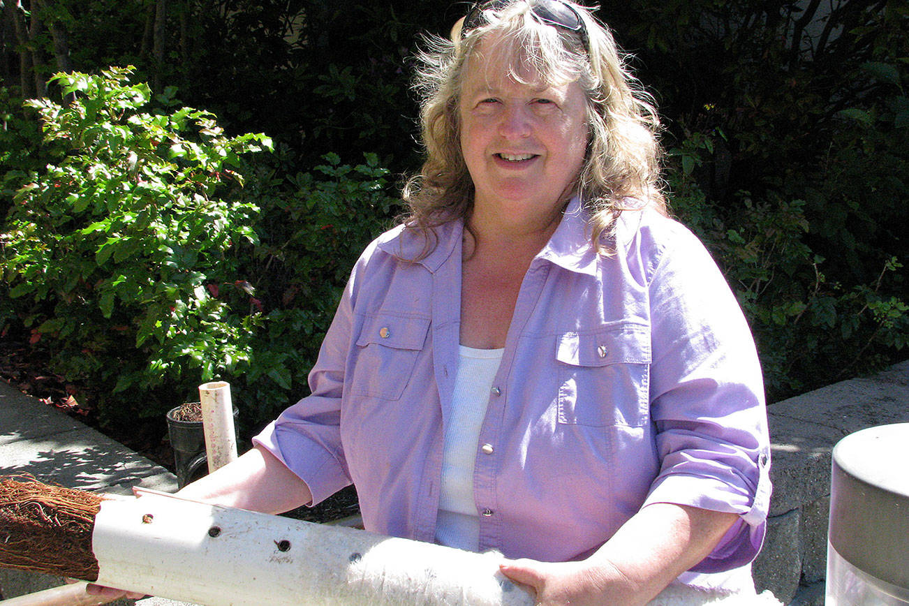 All about roots, soils and septic systems | Sequim Gazette