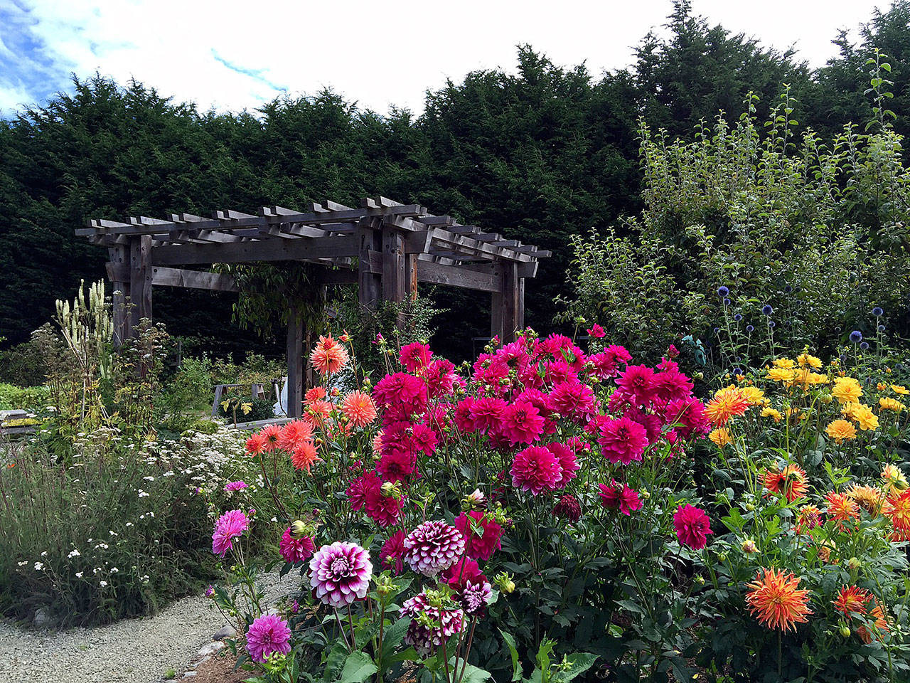 Master Gardeners hosting Garden Festival | Sequim Gazette