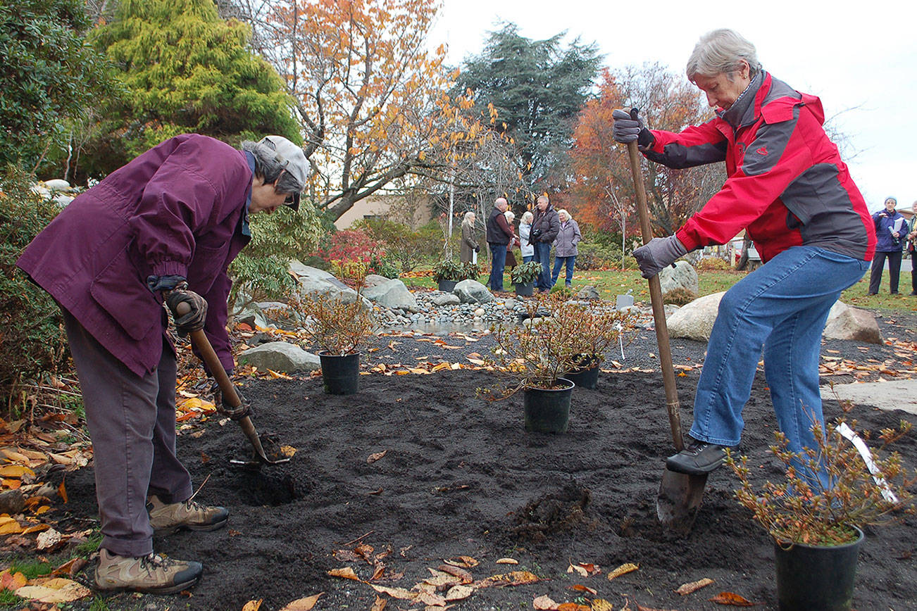 Landscape started at Pioneer Memorial Park | Sequim Gazette