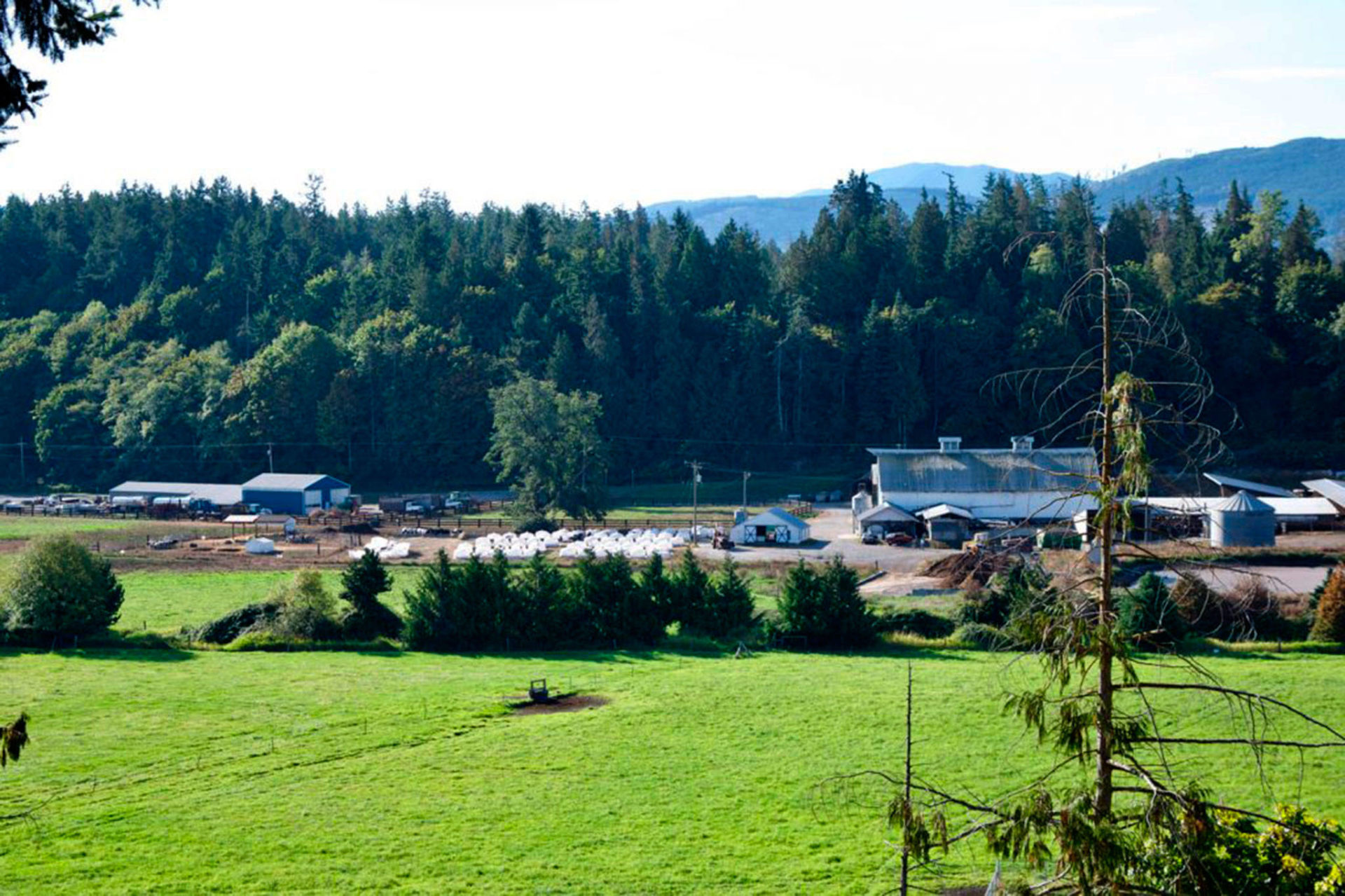 Farmers share Sequim’s collaborative water conservation efforts ...