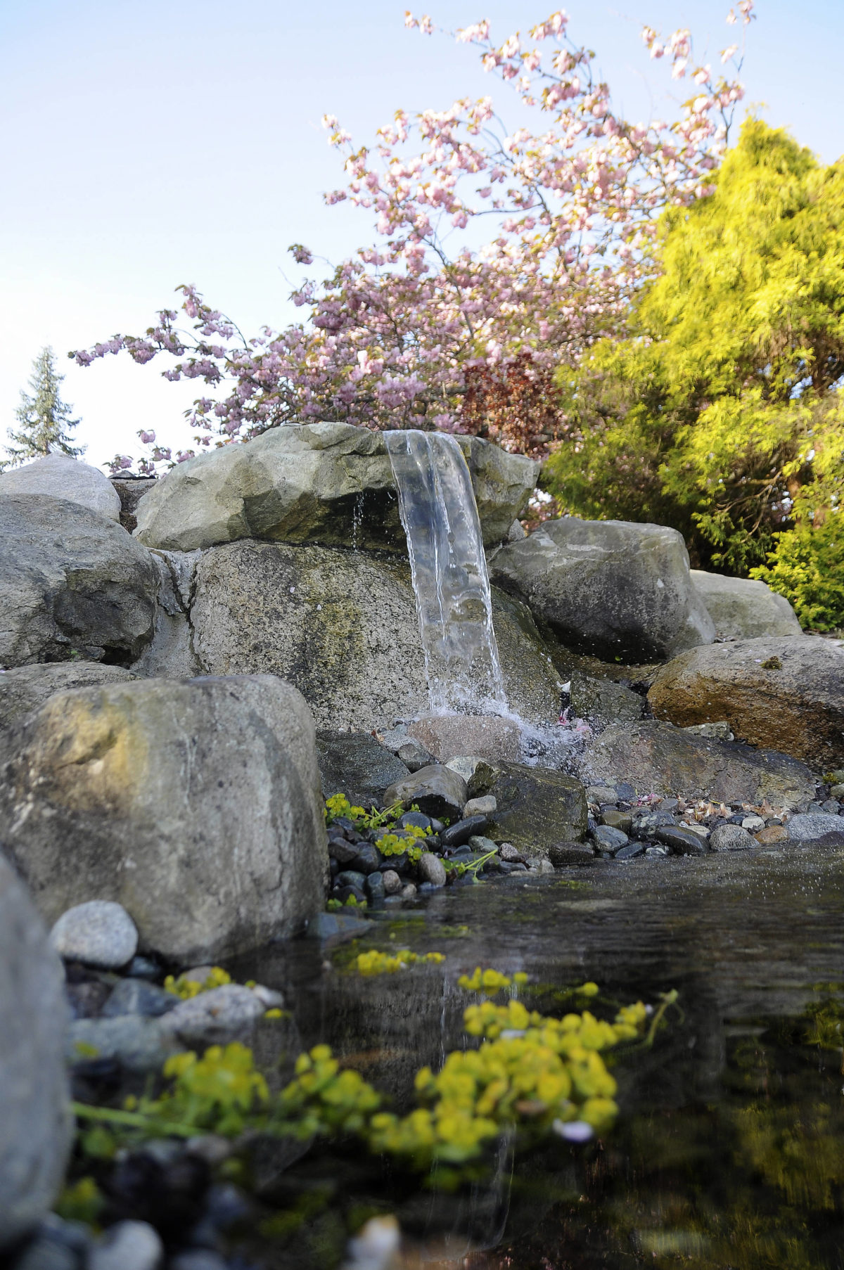 Pioneer Memorial Park water feature springs back to life | Sequim Gazette