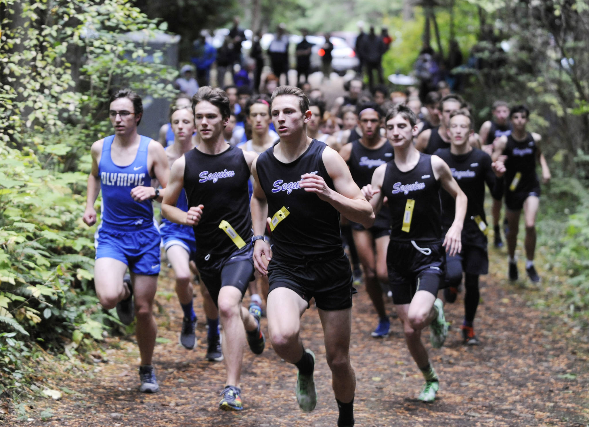 Cross country: Wolves sweep Redhawks, Trojans in home league meet ...