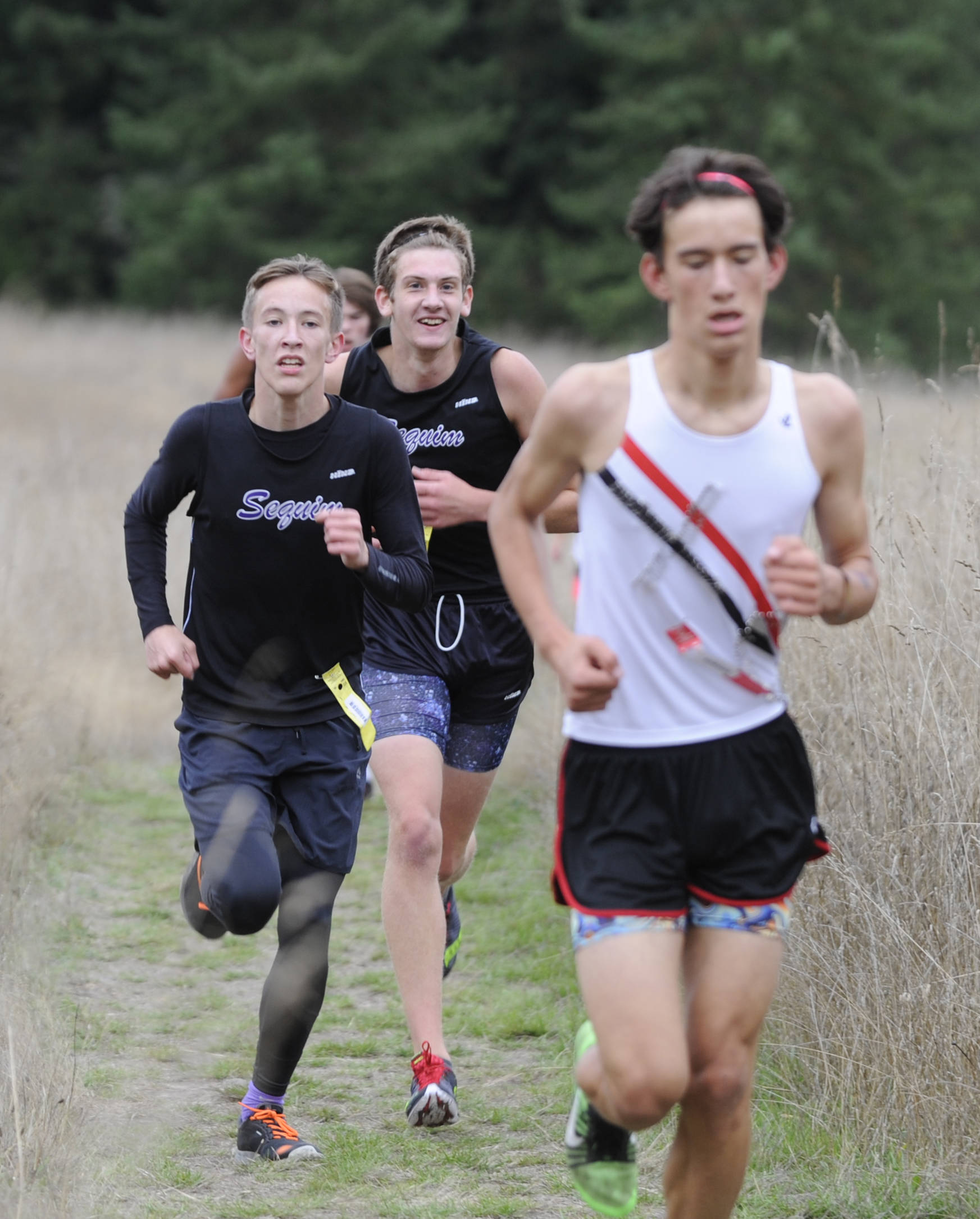Cross country: Wolves sweep Redhawks, Trojans in home league meet ...