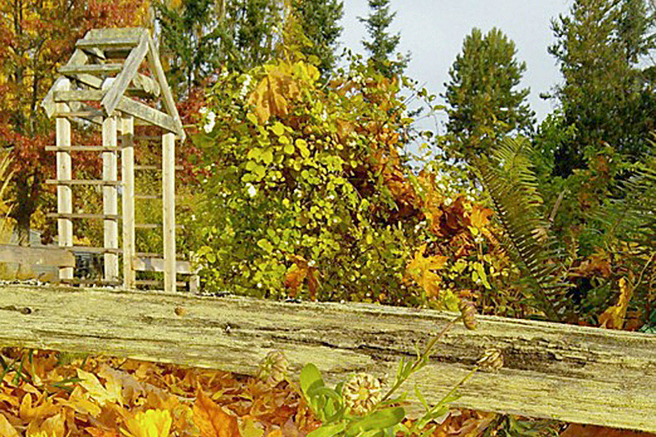 Final walk of season set at demonstration garden | Sequim Gazette