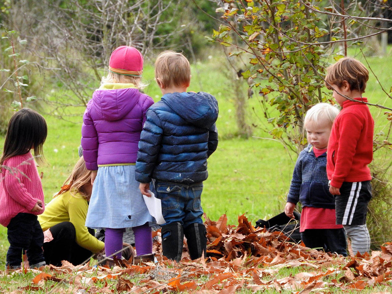 Fall Family Scavenger Hunt set for Saturday | Sequim Gazette