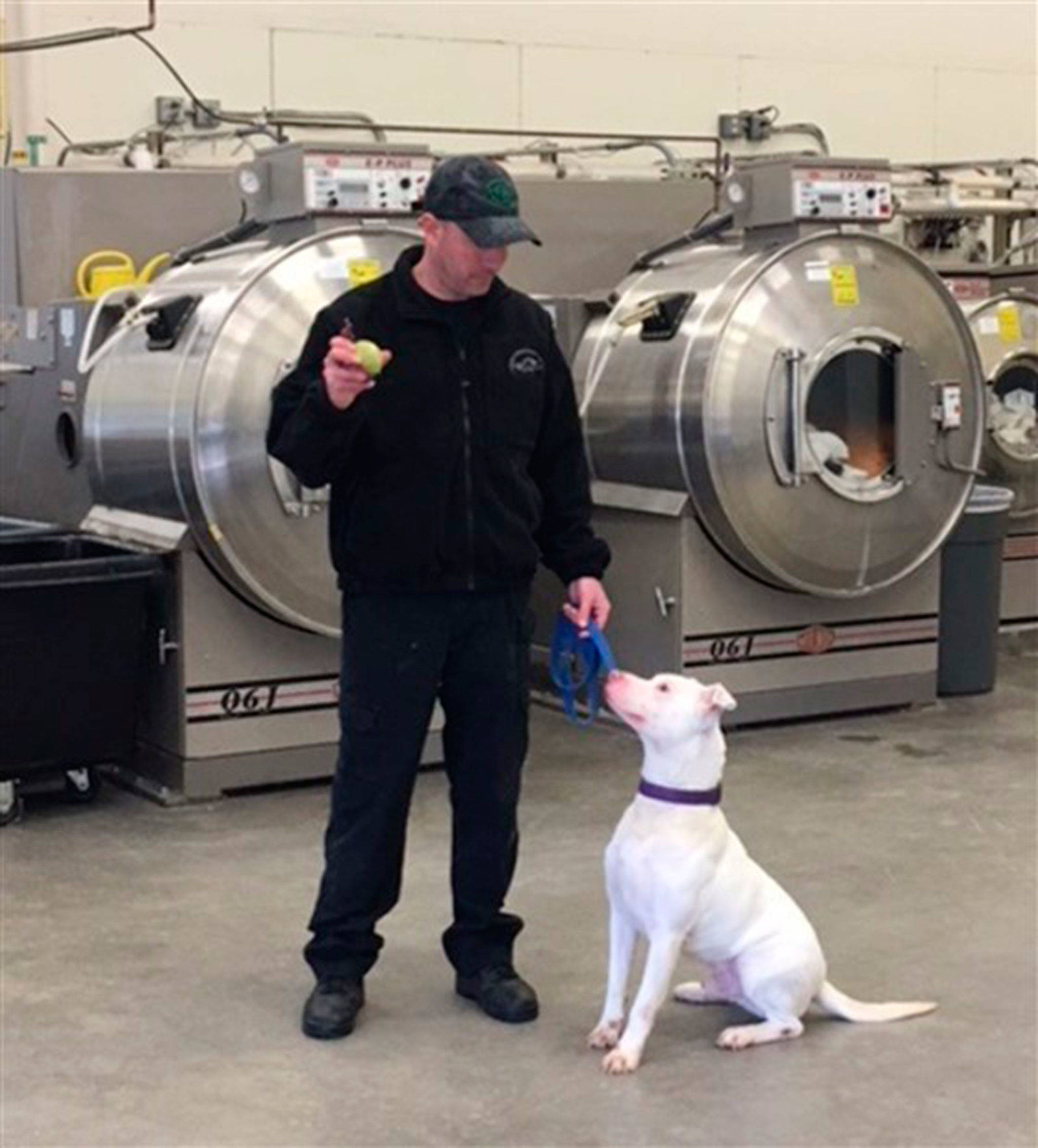 OPHS receives grant for deaf narcotics detection dog | Sequim Gazette