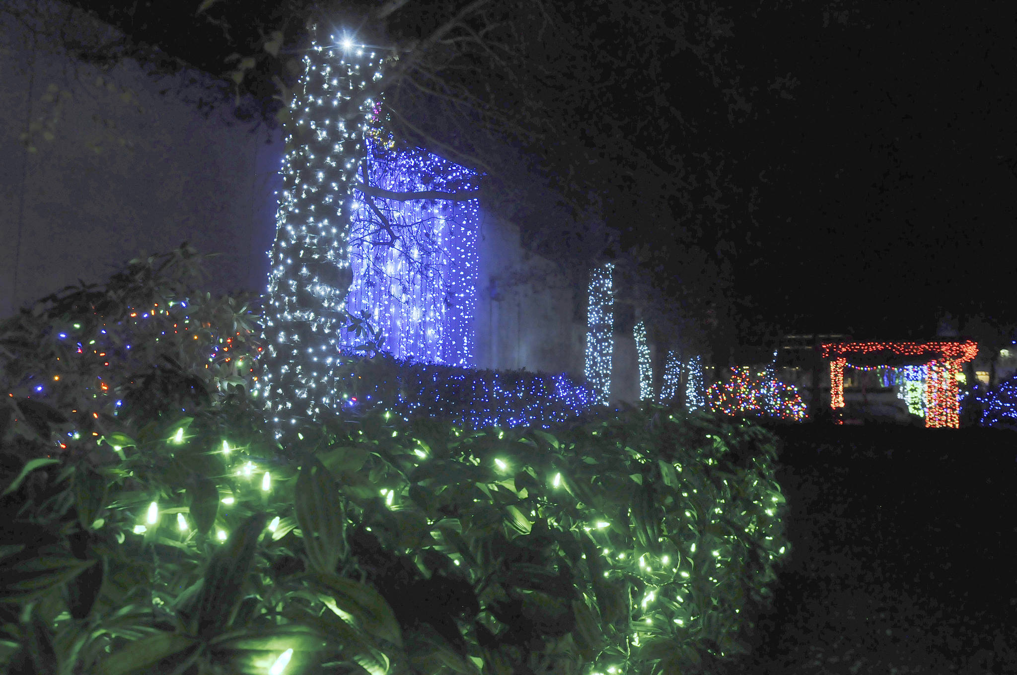 Time to shine: A driving guide for lovers of Christmas lights | Sequim ...