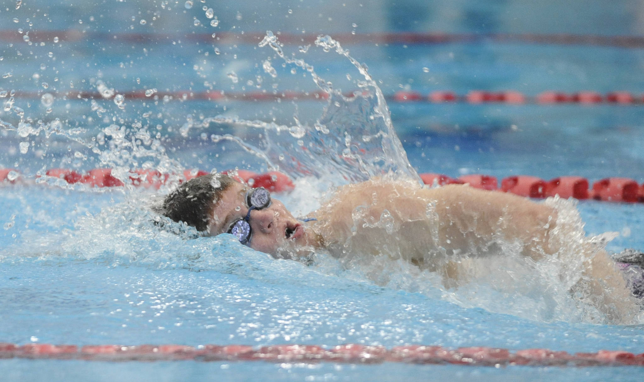 Boys swimming: Sequim caps regular season with win versus Knights ...