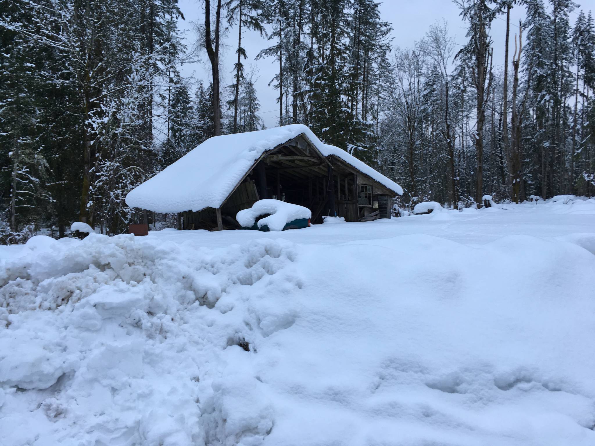 Snow fells family barn | Sequim Gazette