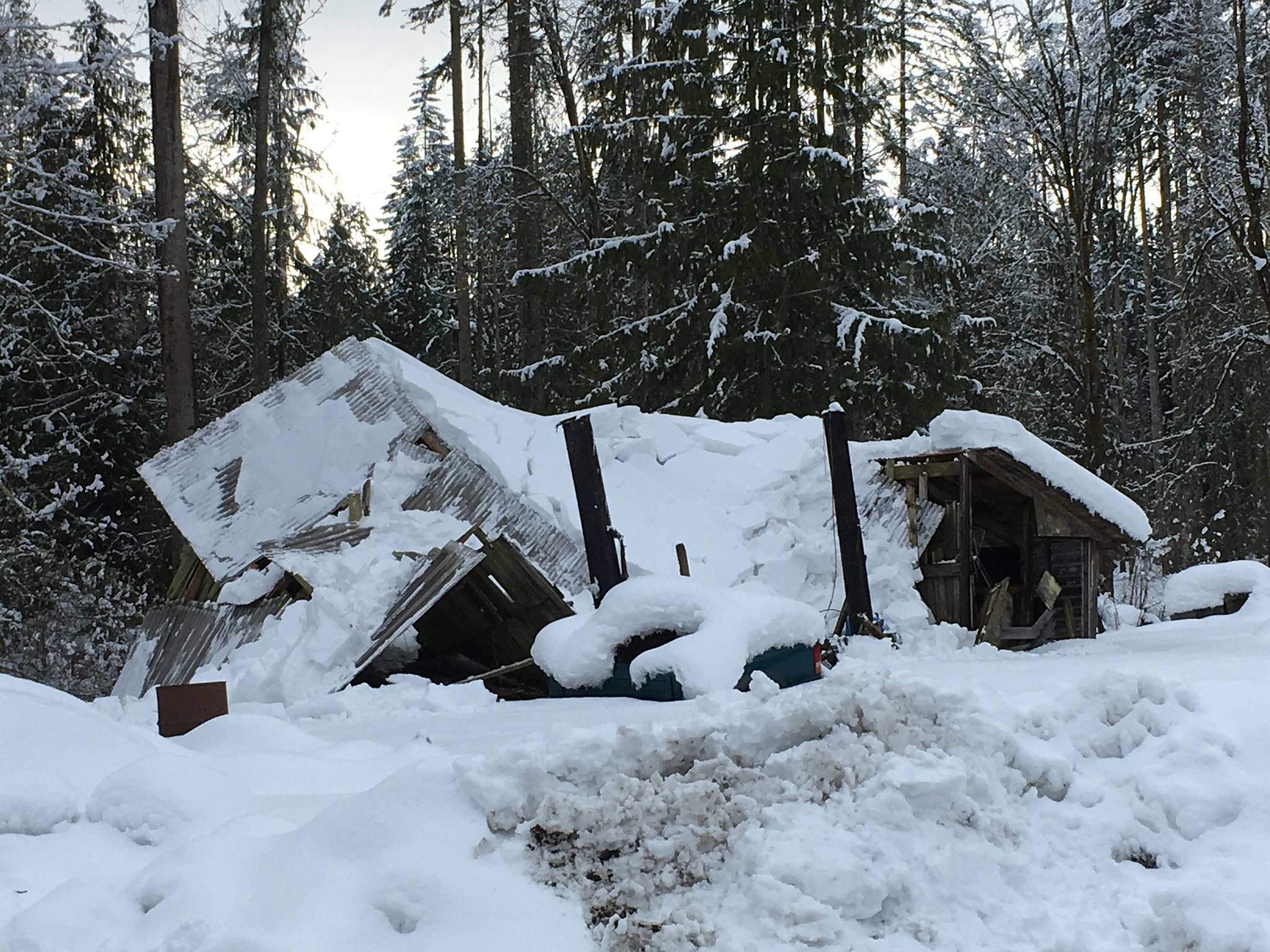 Snow fells family barn | Sequim Gazette