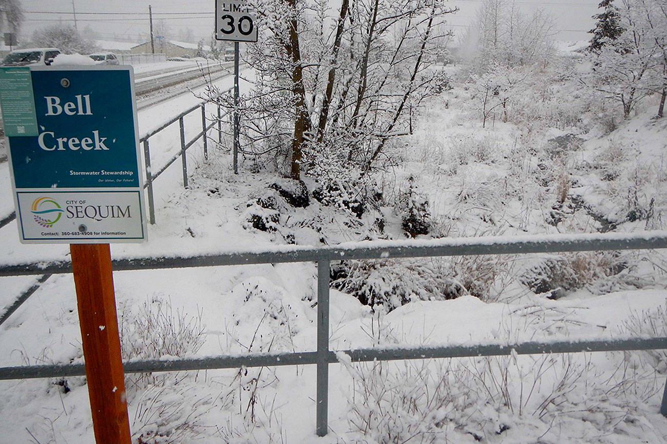 City looks to filter Bell Creek, prevent flooding on Seventh Avenue ...