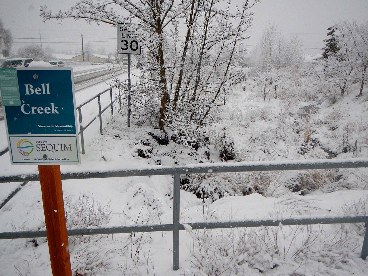 City looks to filter Bell Creek, prevent flooding on Seventh Avenue ...