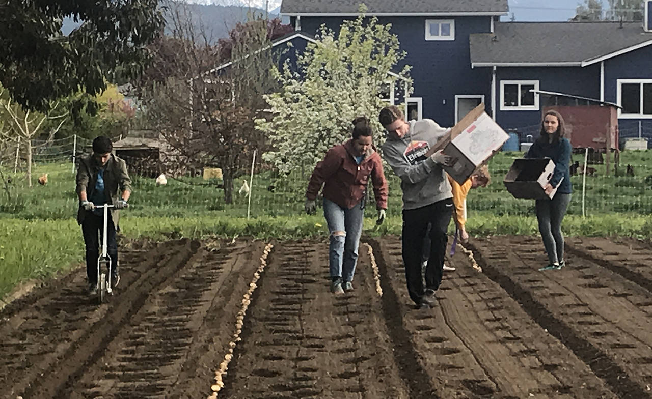 Sequim High School’s Interact Club making an impact | Sequim Gazette