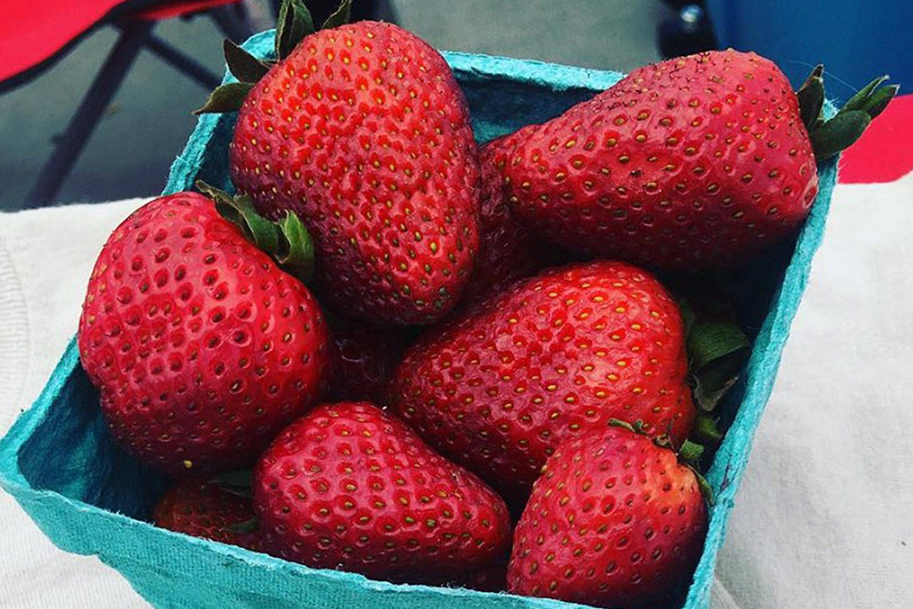 What’s New at the Market: Berry Burst Day | Sequim Gazette