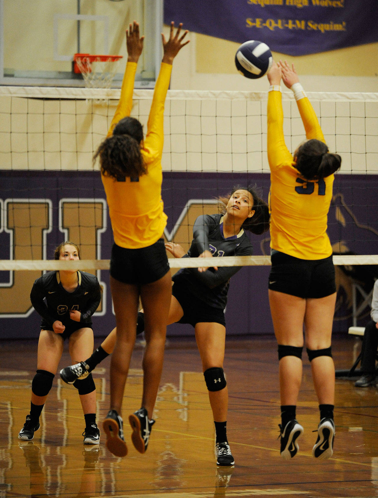 Volleyball: Wolves split with Bremerton, Olympic | Sequim Gazette