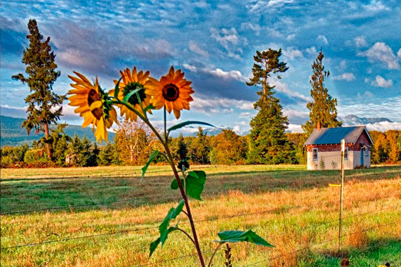 Weather — Oct. 2, 2019 | Sequim Gazette