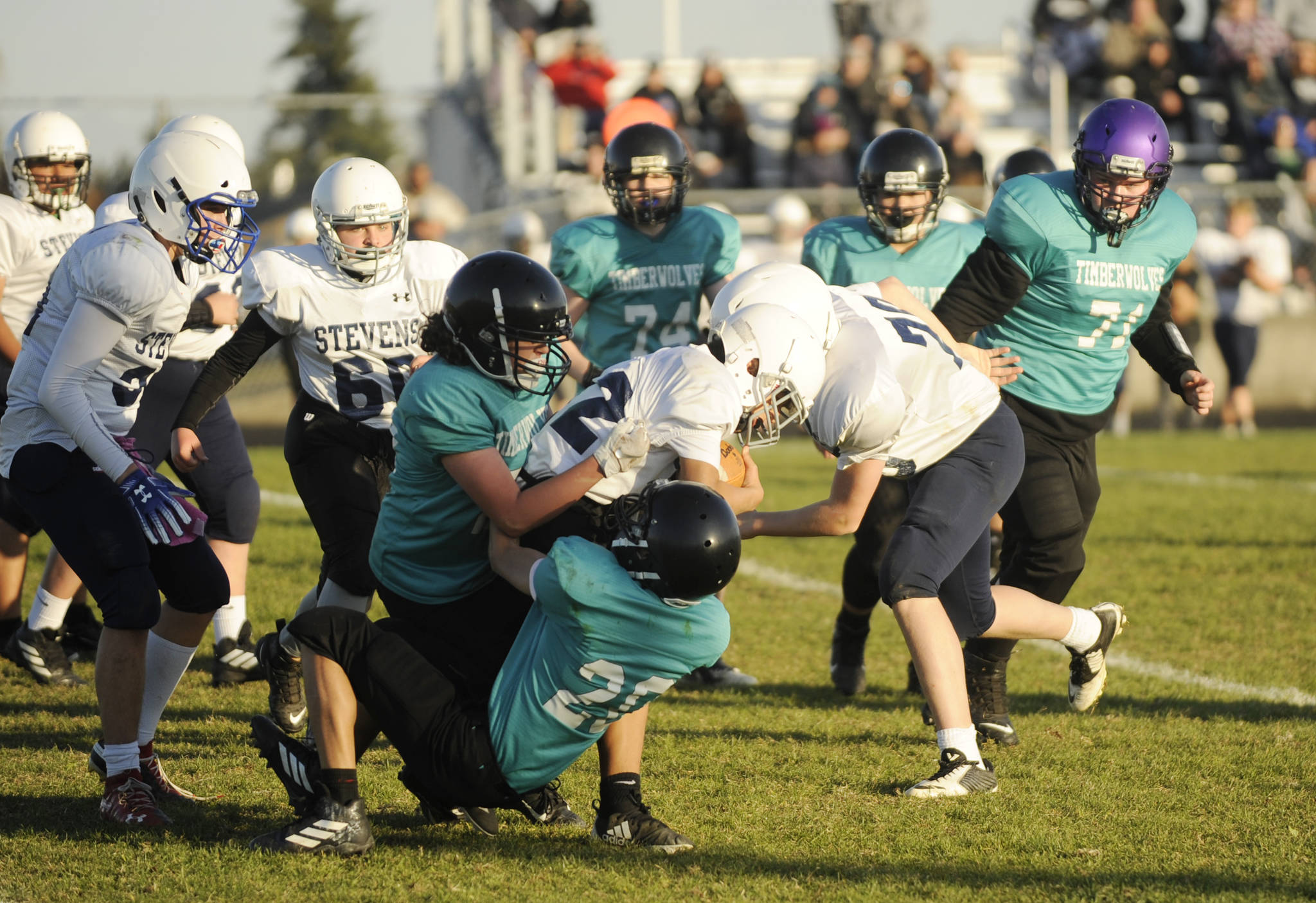 SMS football: Timberwolves look for growth in gridiron tests | Sequim ...