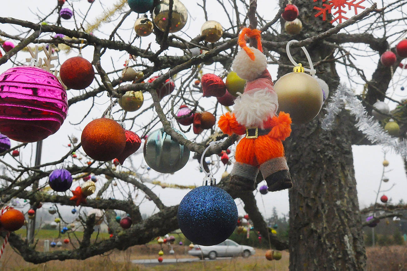 Sequim bicyclists show season’s spirit with arboreal adornments ...
