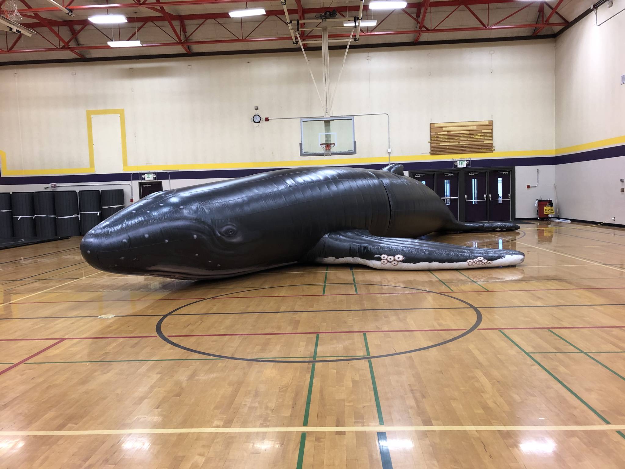 @SequimSchools — Jan. 1, 2020 | Sequim Gazette