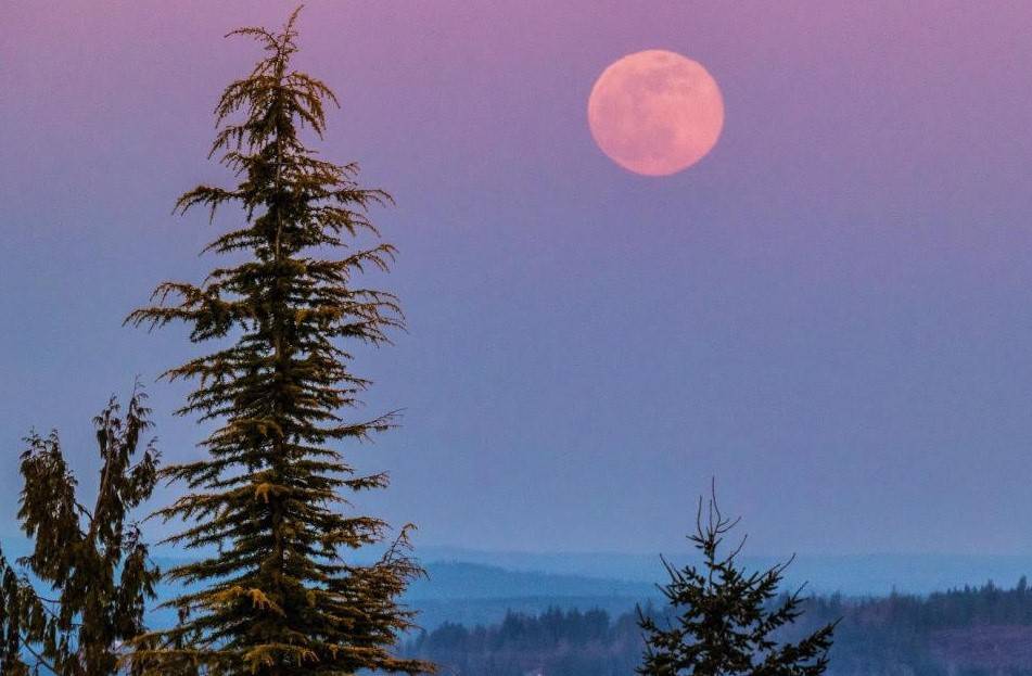 PHOTO: ‘Super’ sight over Sequim | Sequim Gazette