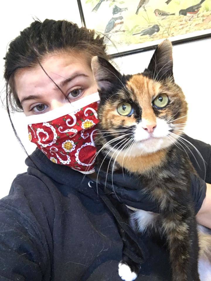 Olympic Peninsula Humane Society reopens by appointment | Sequim Gazette