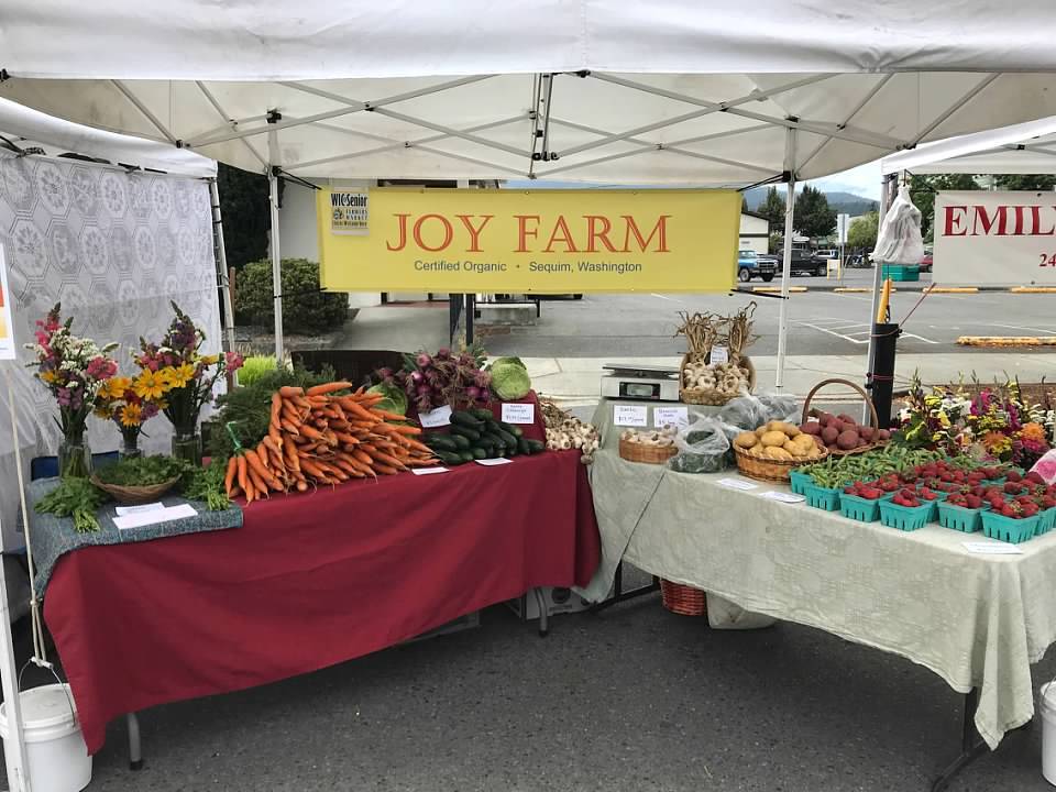 What’s Happening at the Market: Community Nutrition Program fuels ...