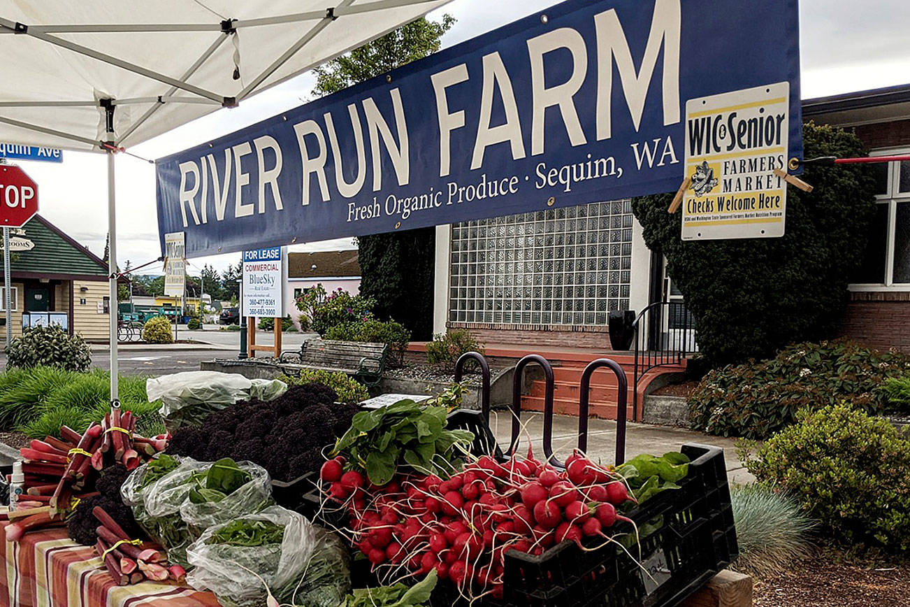 What’s Happening at the Market: More flavor, more beauty from River Run ...