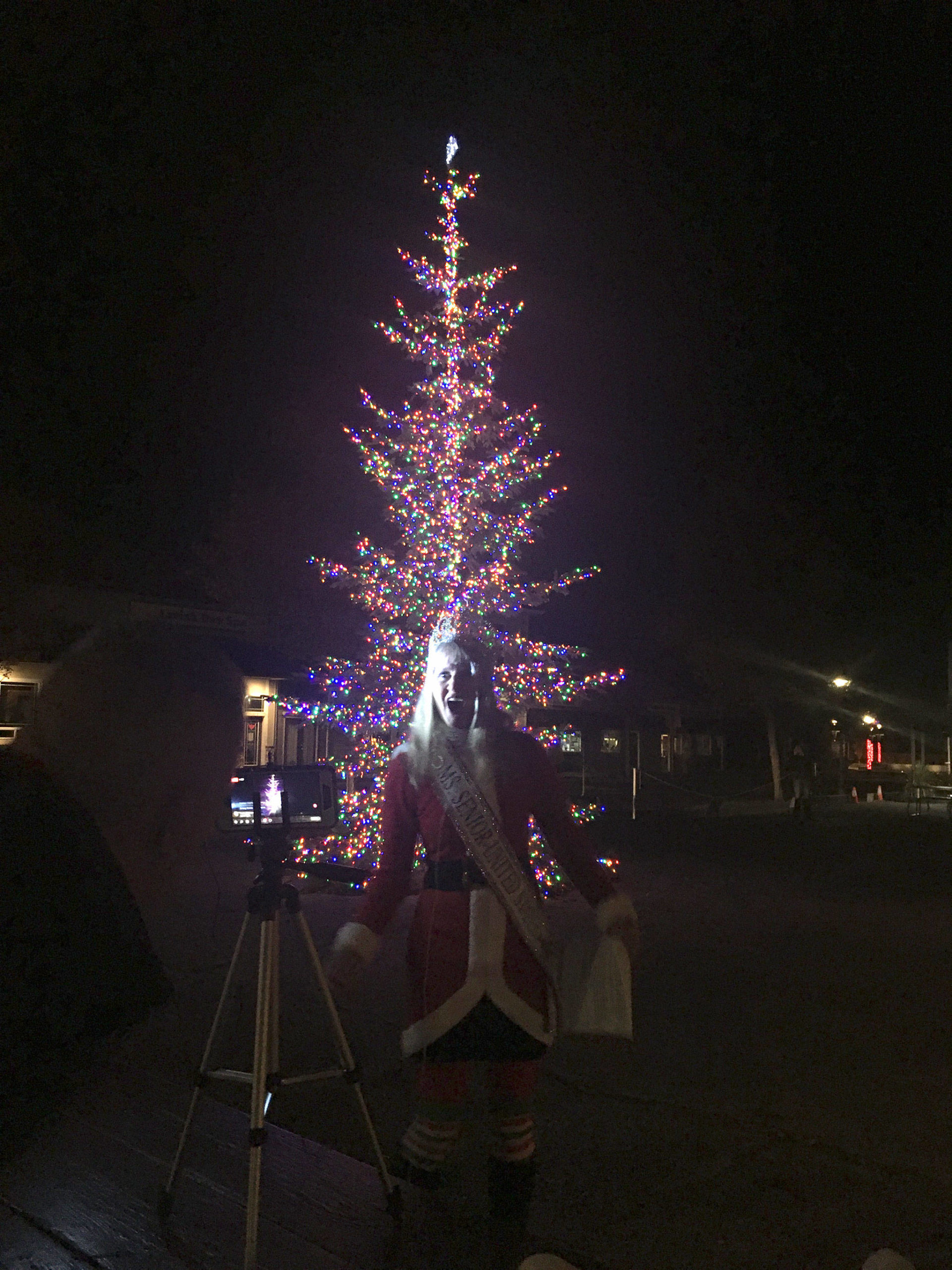 Downtown tree ushers in Christmas season | Sequim Gazette