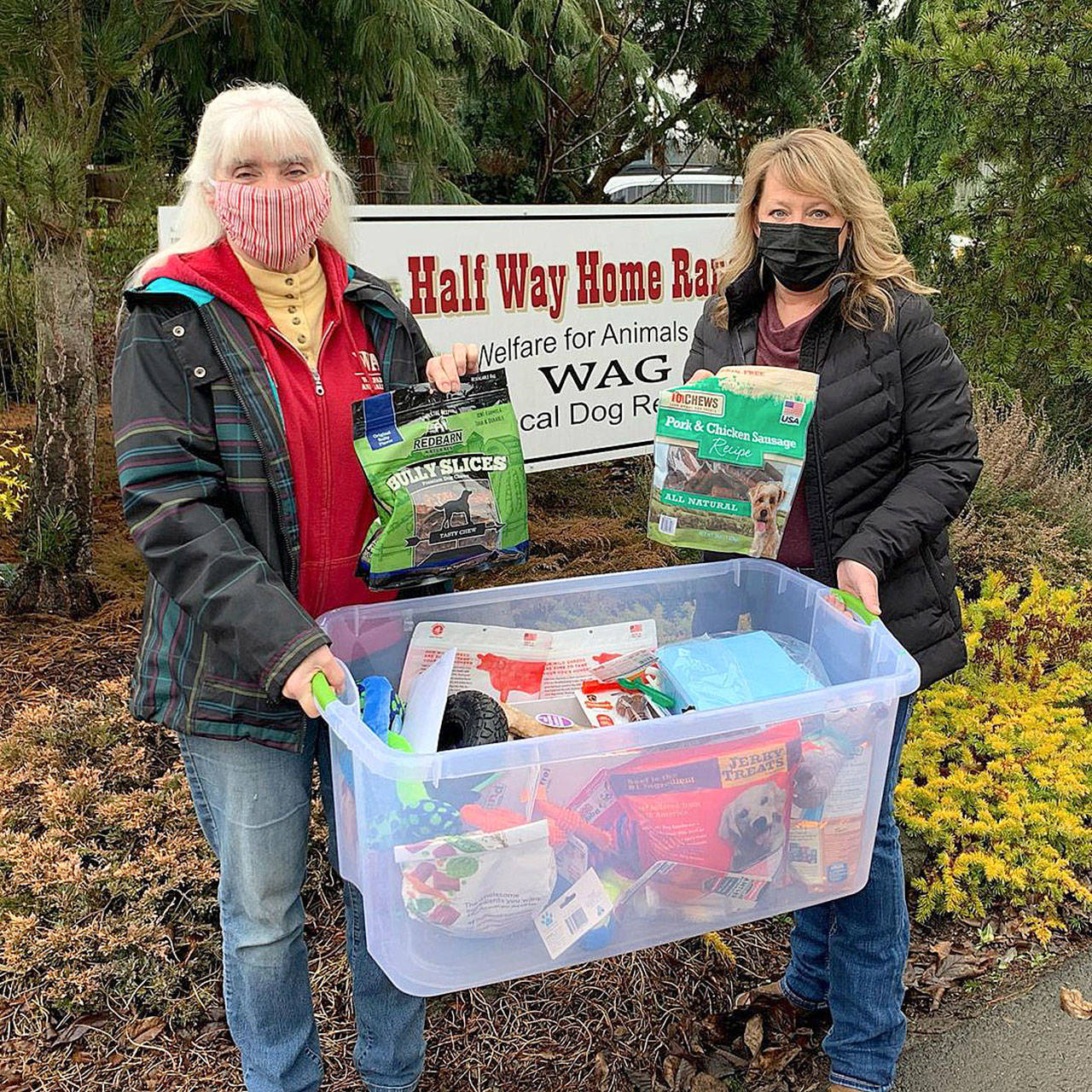 Milestone: Holiday ‘Giving Trees’ help WAG dogs | Sequim Gazette