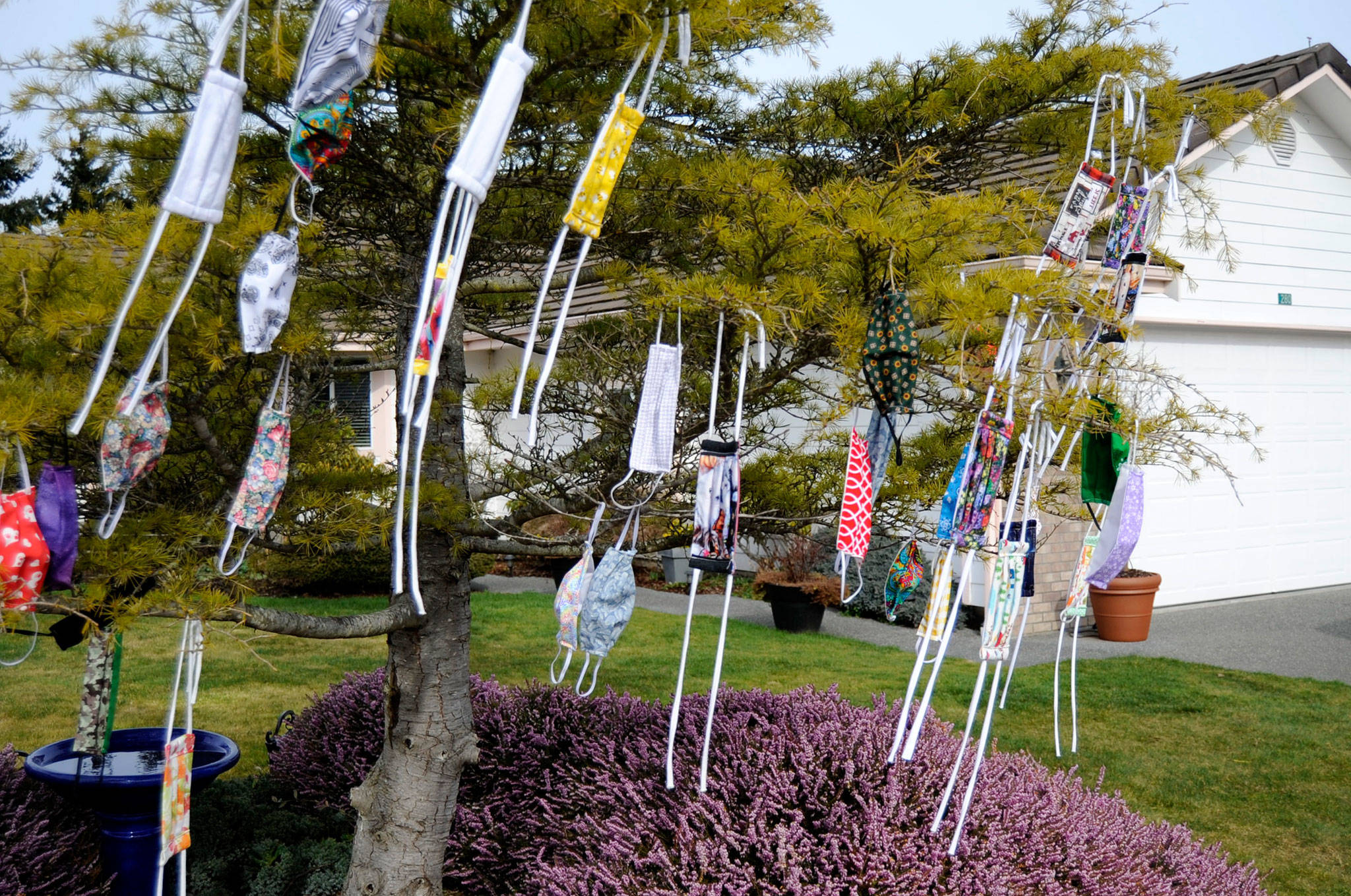 Friends, neighbors keep mask tree going almost a year later | Sequim ...
