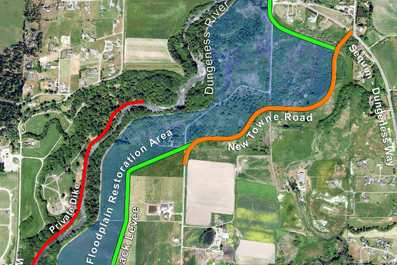 Levee setback looks to provide flood protection, protect salmon ...