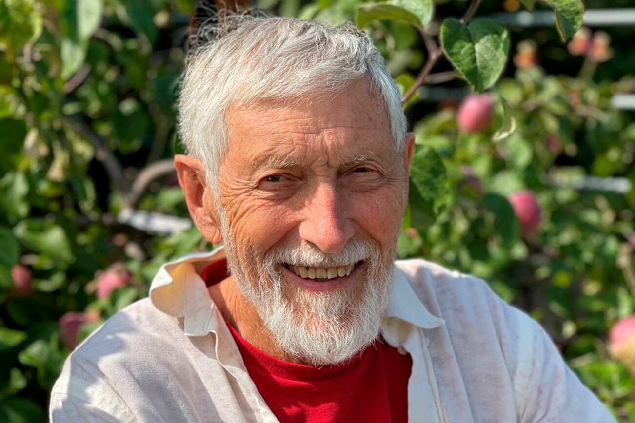 Learn how to harvest your own tree fruit | Sequim Gazette