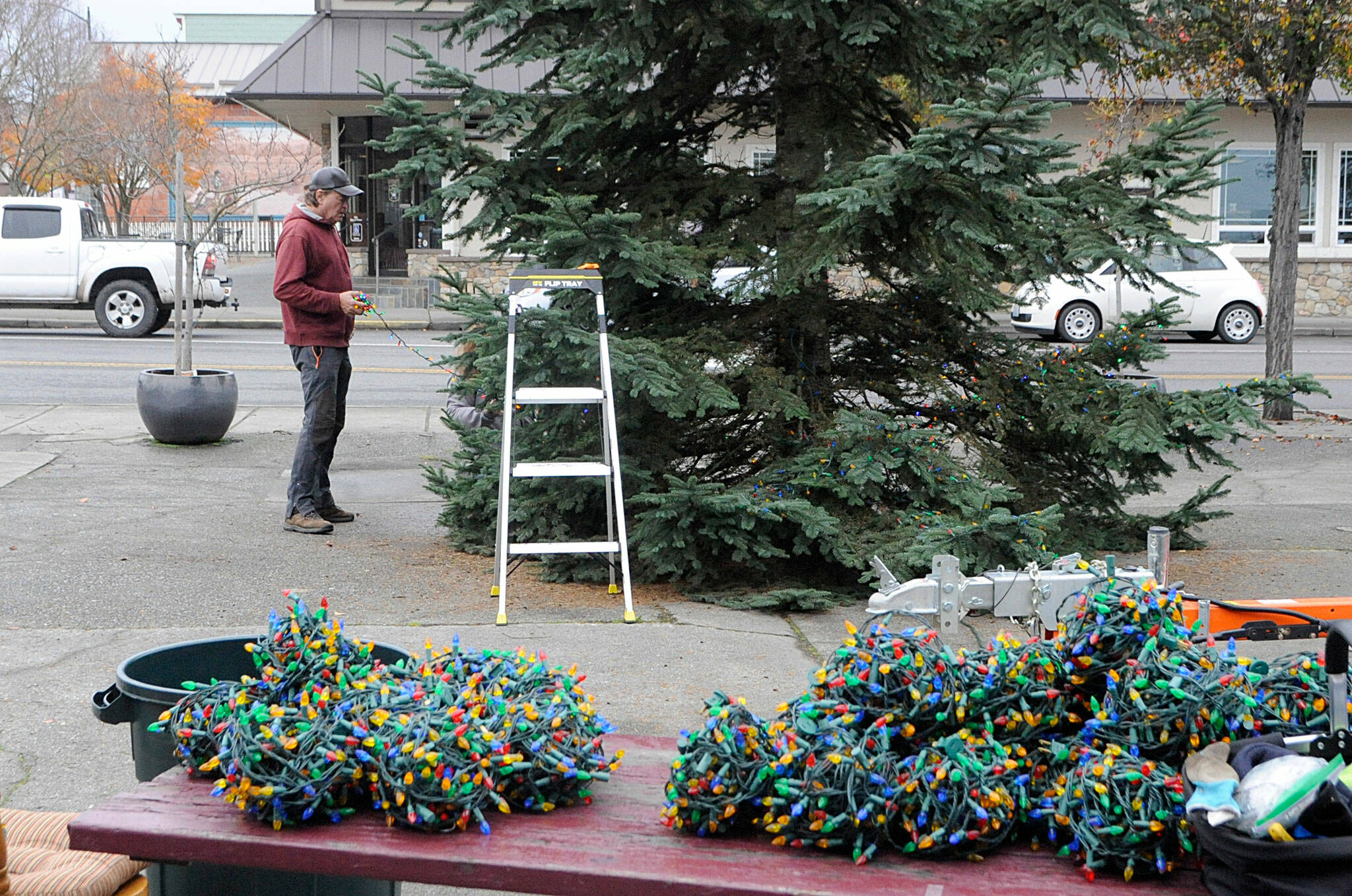 Community donates funds to keep downtown tree a tradition | Sequim Gazette