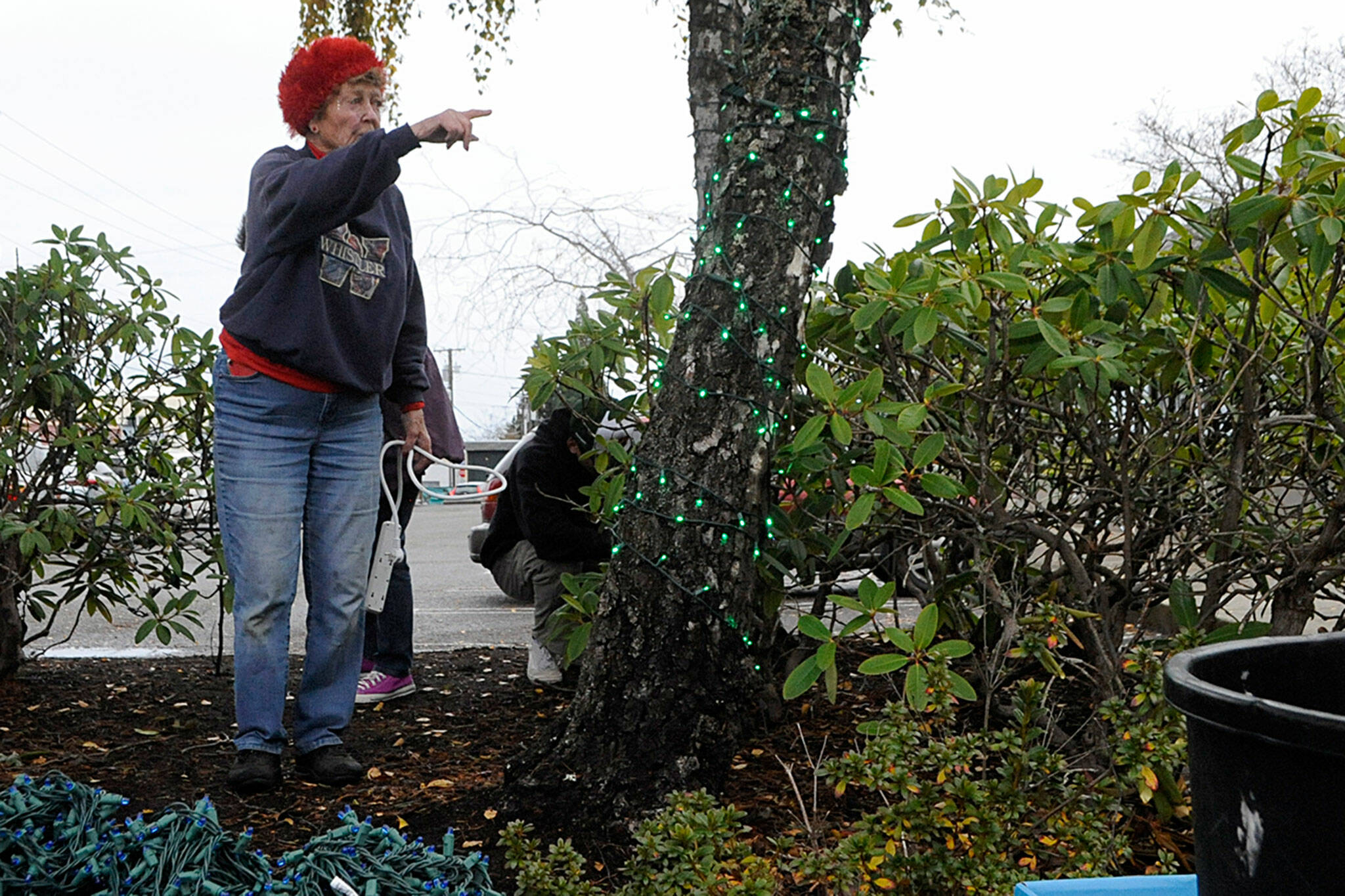 Community donates funds to keep downtown tree a tradition | Sequim Gazette