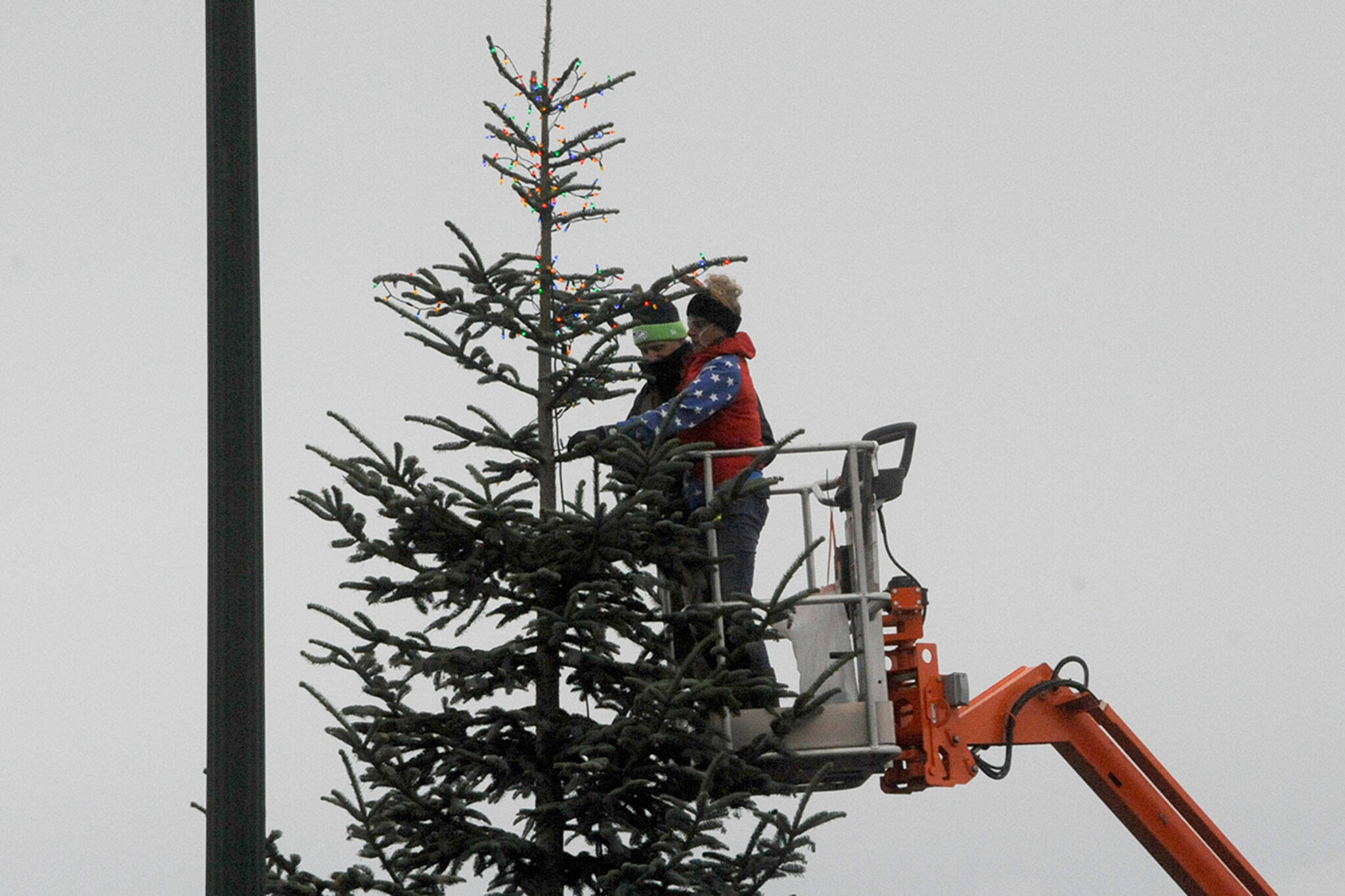 Community donates funds to keep downtown tree a tradition | Sequim Gazette