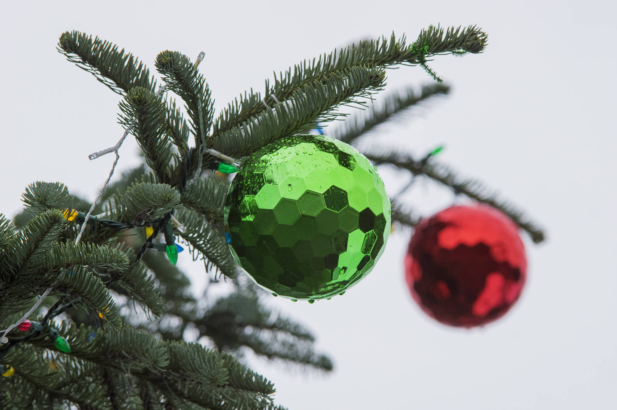 Home Town Holidays event brings season’s spirits | Sequim Gazette