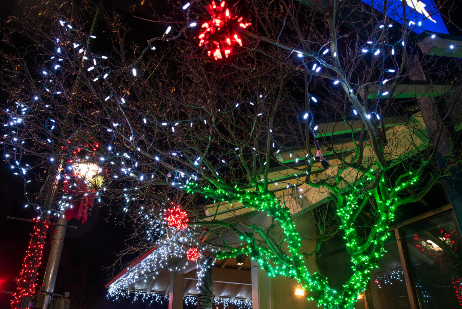 PHOTOS: Sequim’s downtown lights | Sequim Gazette