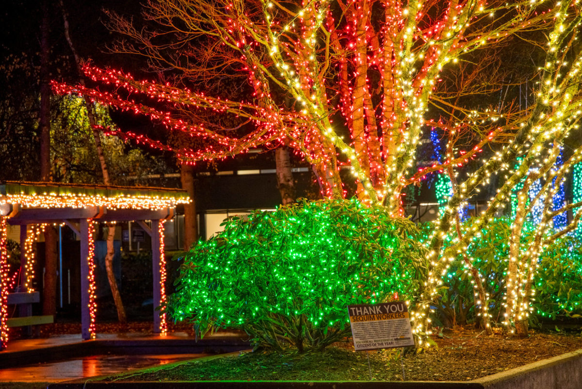PHOTOS: Sequim’s downtown lights | Sequim Gazette