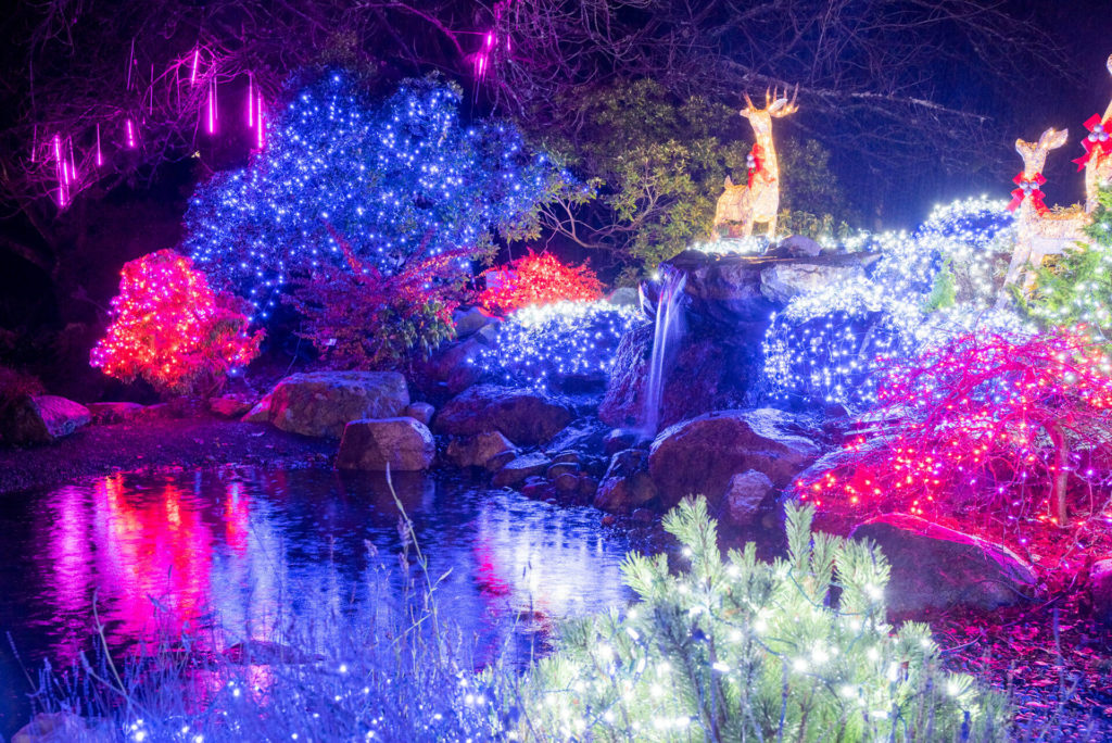 PHOTOS: Sequim’s downtown lights | Sequim Gazette