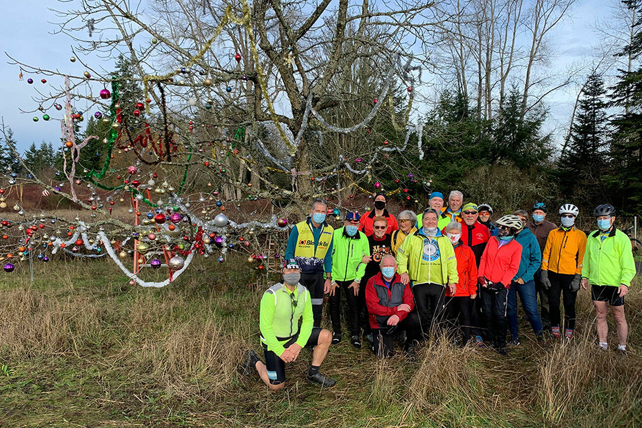 PHOTO: Local bicyclists continue tradition, decorate tree | Sequim Gazette