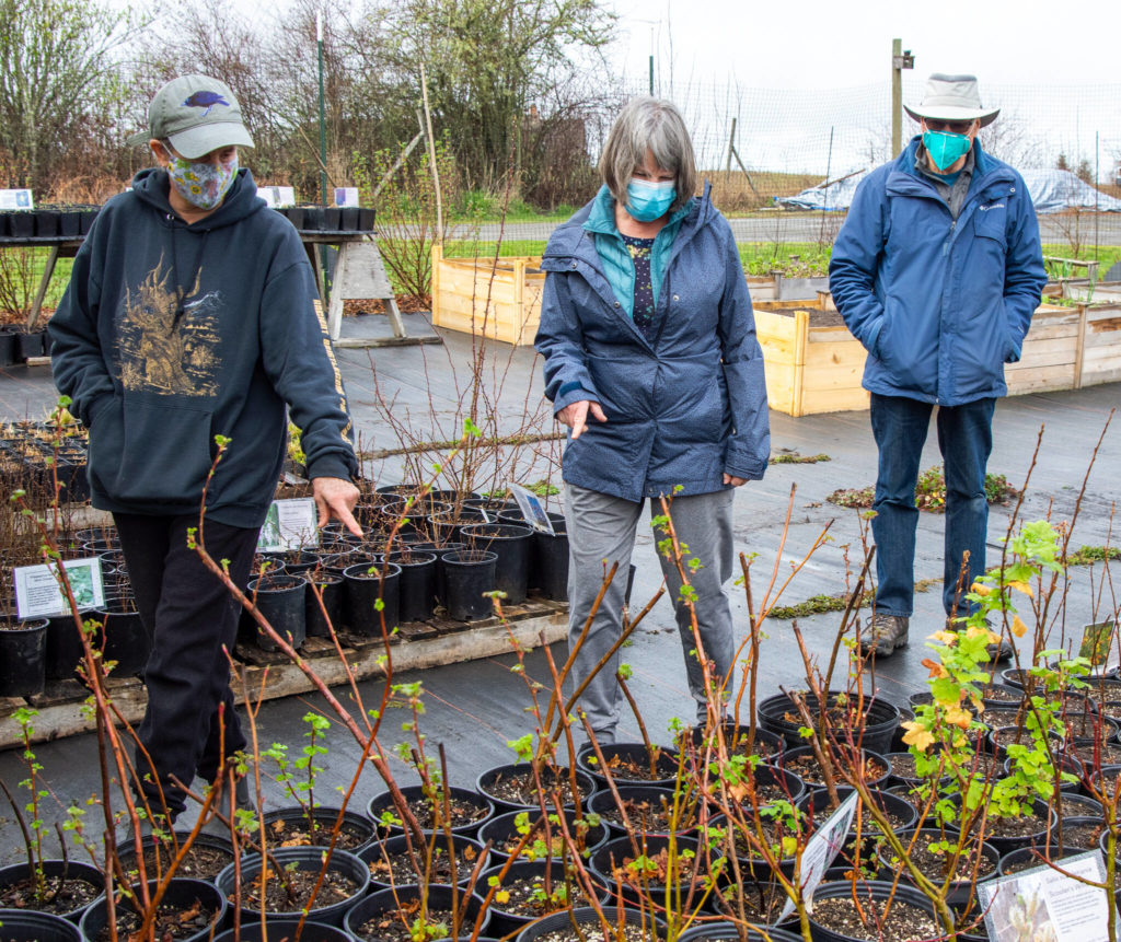 Friendly hands to help restore natural habitats | Sequim Gazette