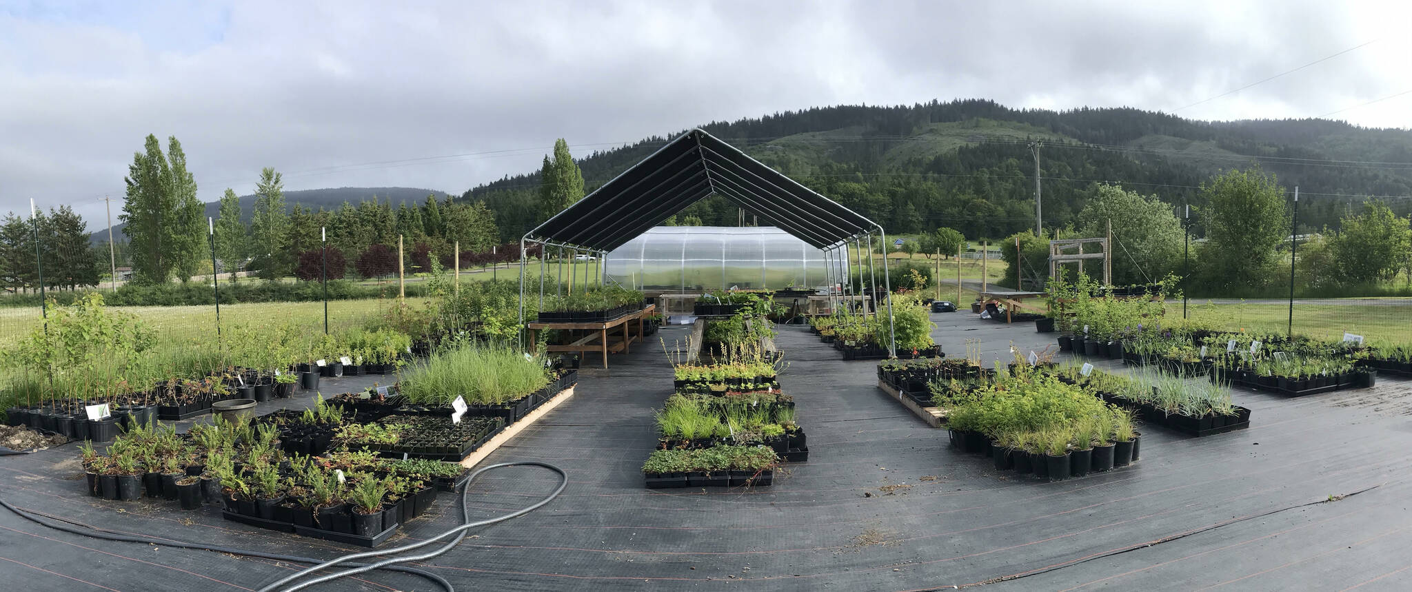 Friendly hands to help restore natural habitats | Sequim Gazette