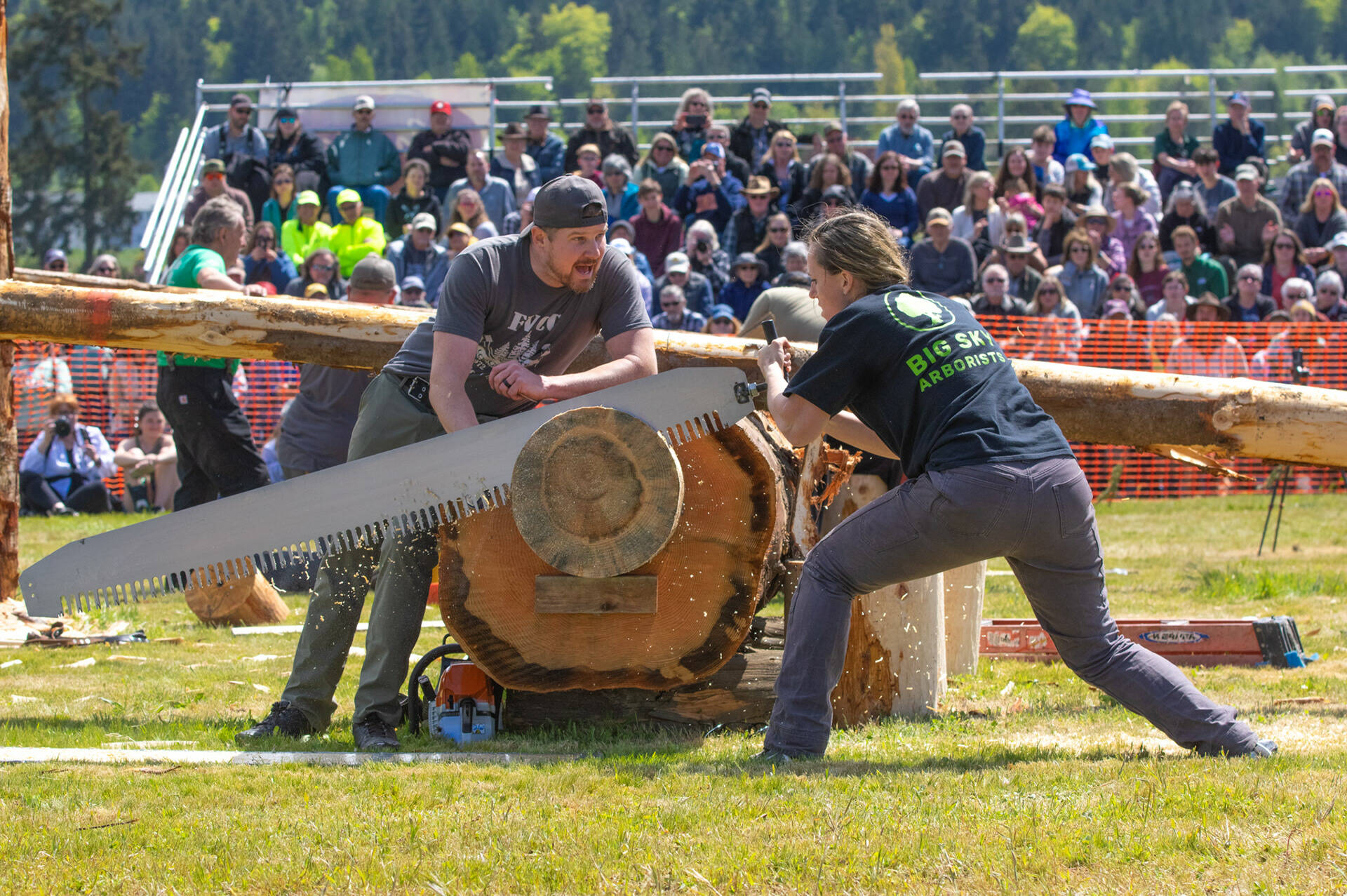 Irrigation Festival organizers see better than expected turnout ...