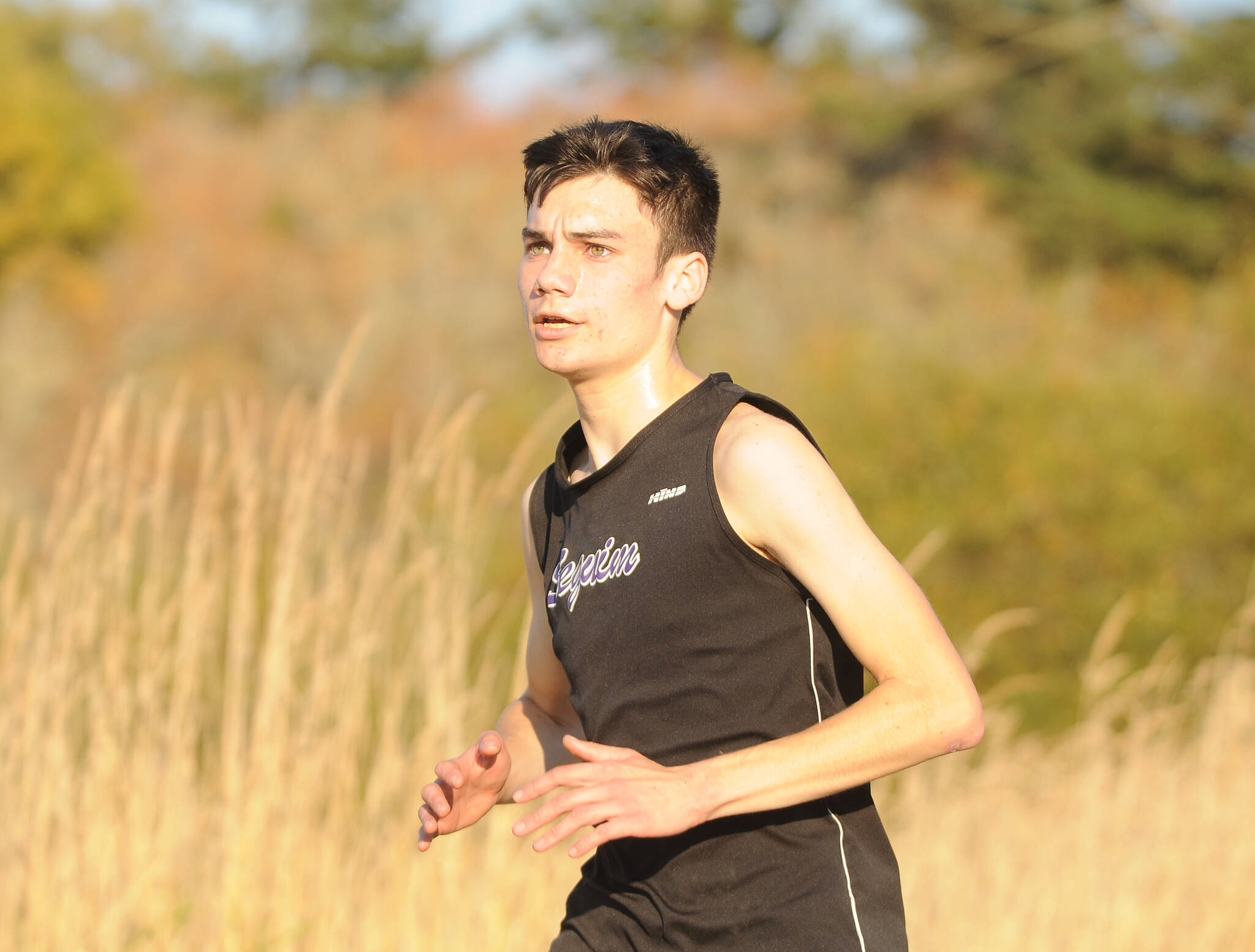 Cross country: SHS girls place third in final league tune-up | Sequim ...